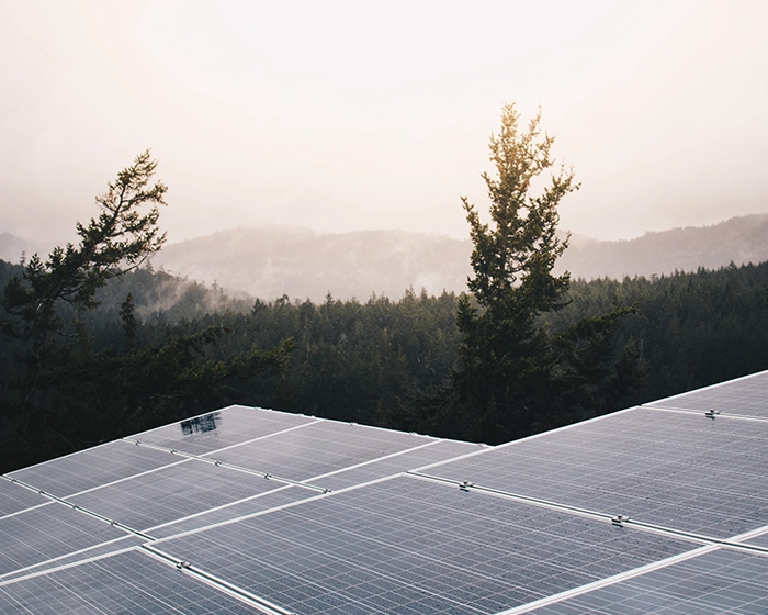 HJT Solar & Bifacial Solar Panel Manufacturer | Waaree Energies